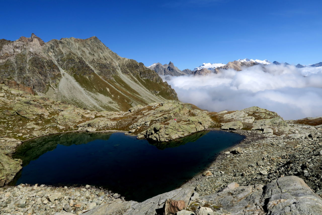 Zaffiro | VdaMountainDay